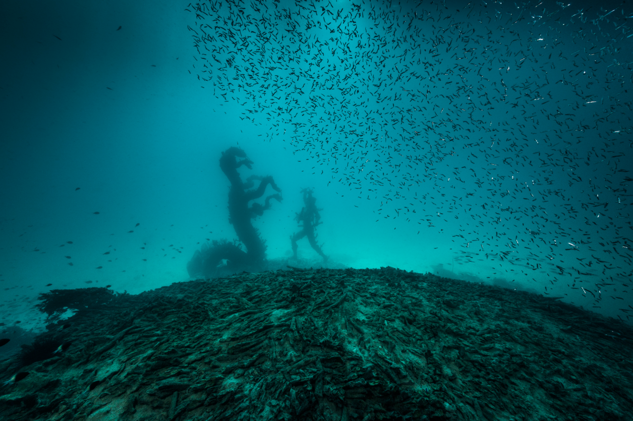 damien-hirst-treasures-from-the-wreck-of-the-unbelievable-2007-foto ...